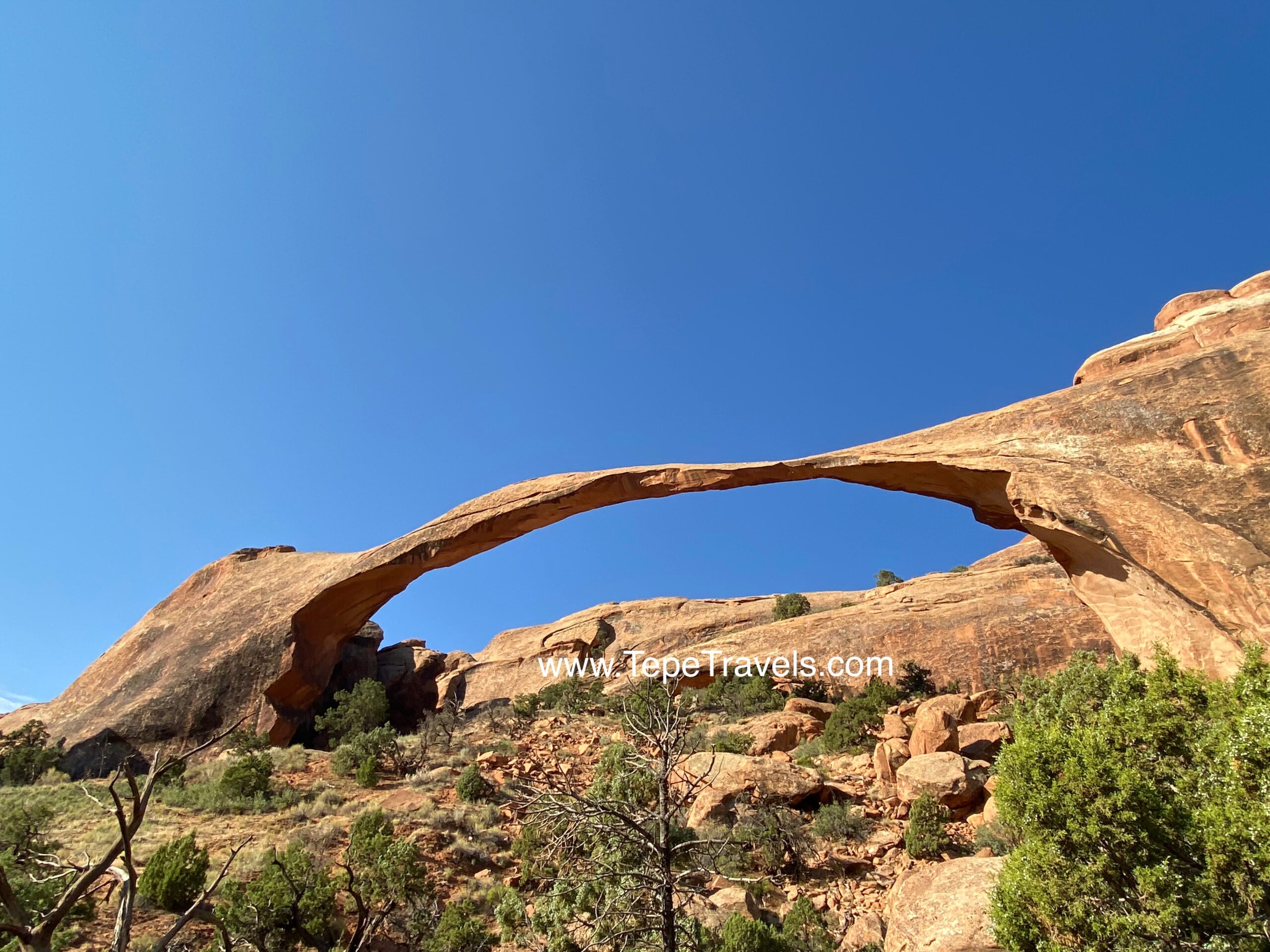 Arches, Arches, Deer and a Lizard – Tepe Travels